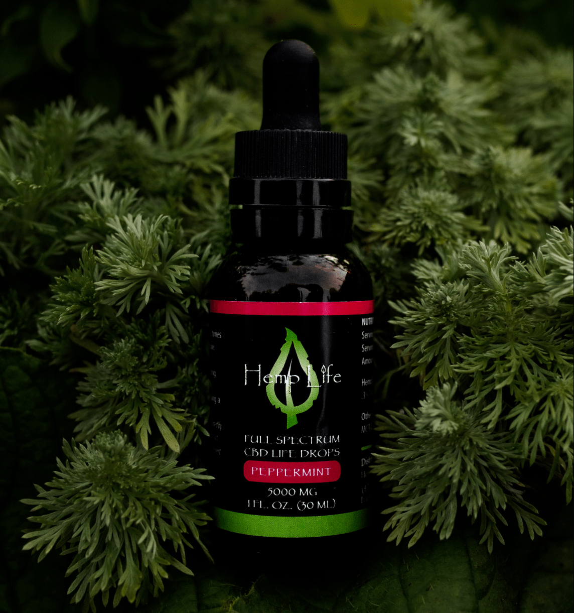 CBD Oil Full-Spectrum 5000mg 30ml - Hemp Life CBD Oil Full-Spectrum 5000mg 30ml - Hemp Life